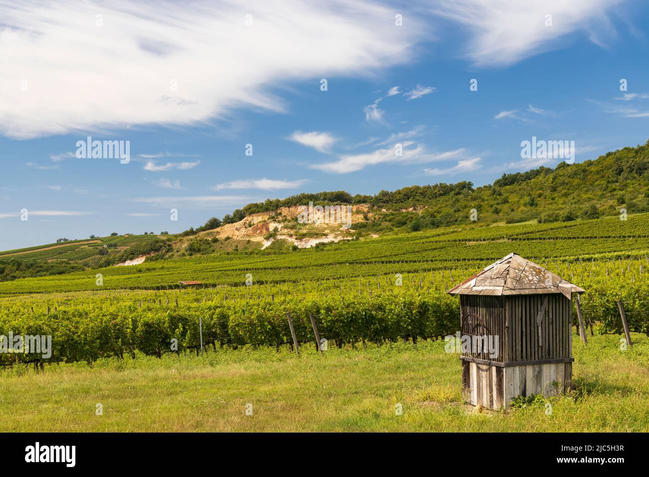 Tokaj landscape with vineyard, Unesco site, Hungary Stock Photo - Alamy