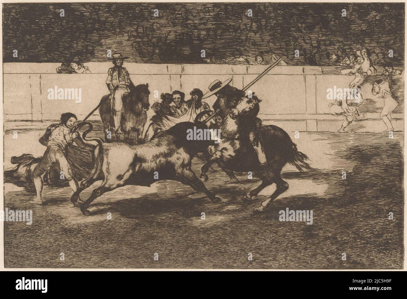 In the bullring of Madrid, a bull pierces the horse of the picador ...