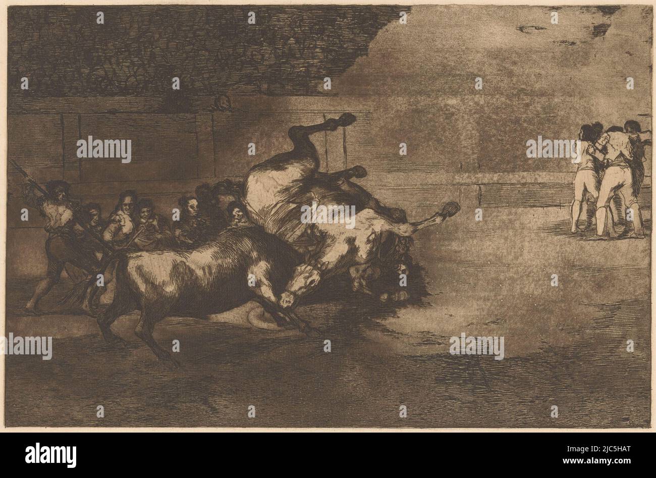 Bull cheval renverse par hi-res stock photography and images - Alamy