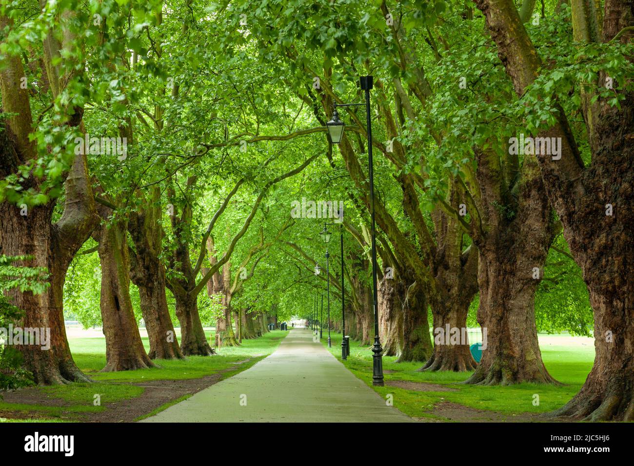Spring morning at Jesus Green in Cambridge, England Stock Photo - Alamy