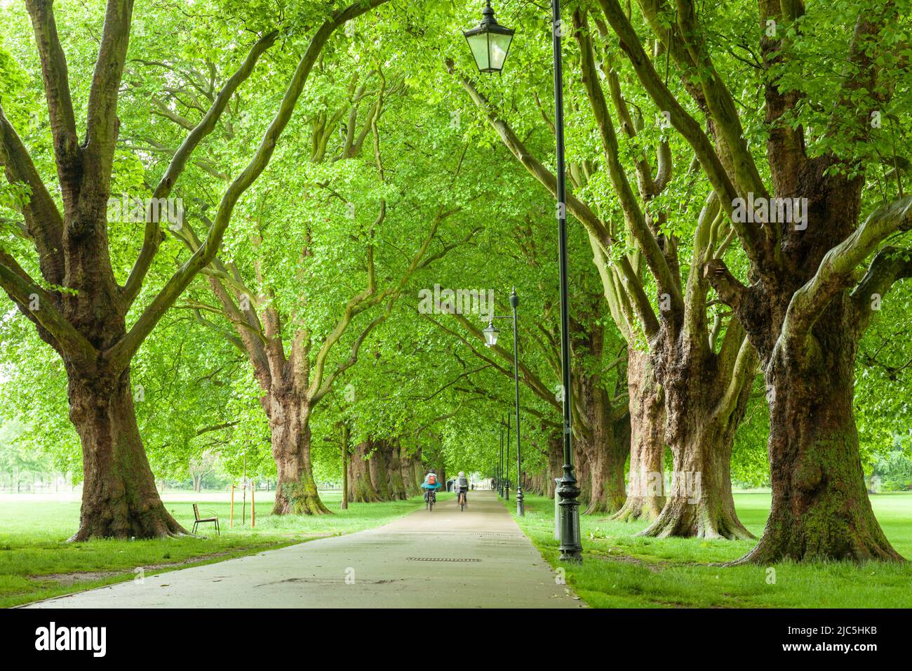 Iconic view cambridge hi-res stock photography and images - Alamy