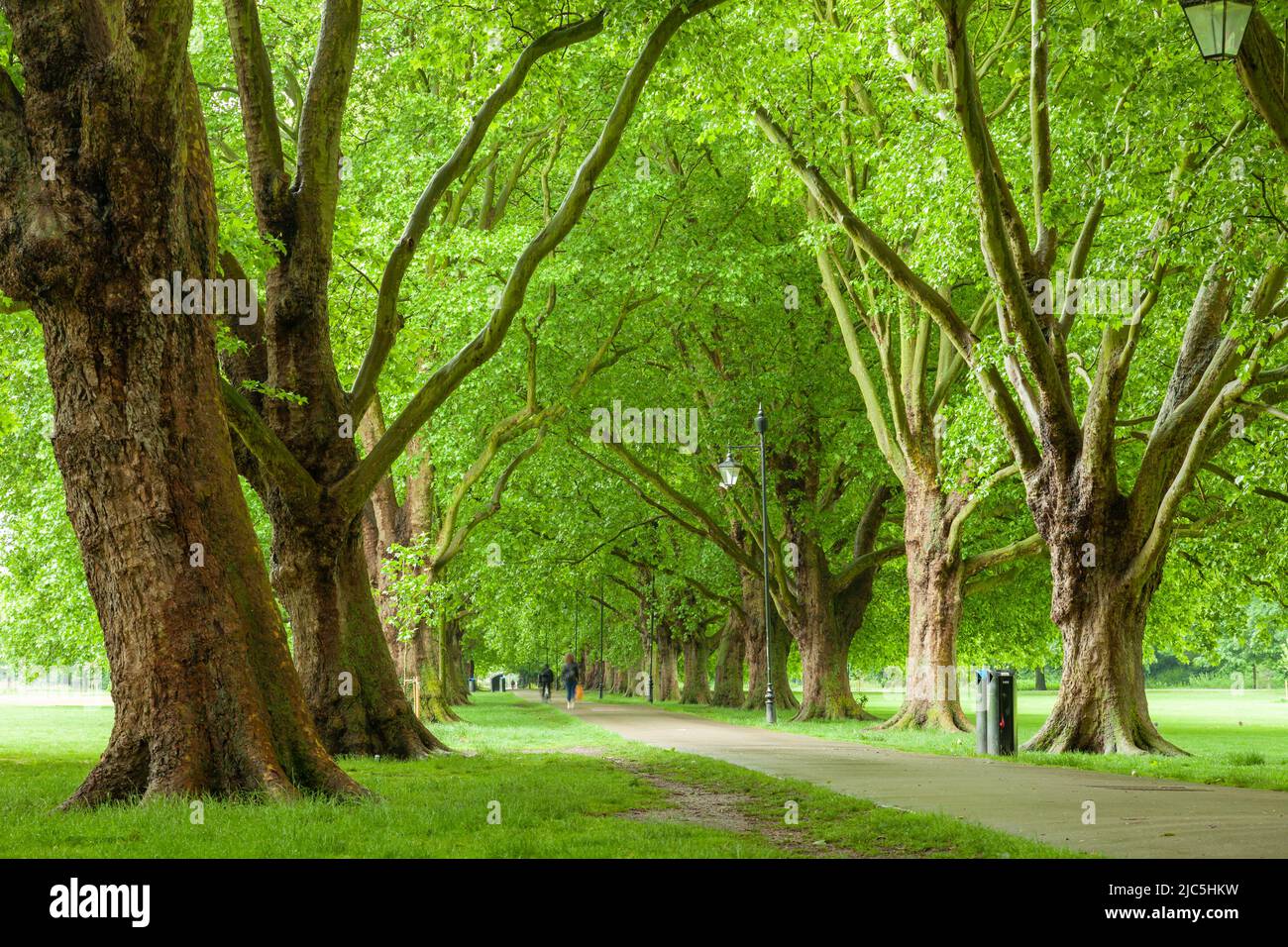Spring morning on Jesus Green in Cambridge, England Stock Photo - Alamy