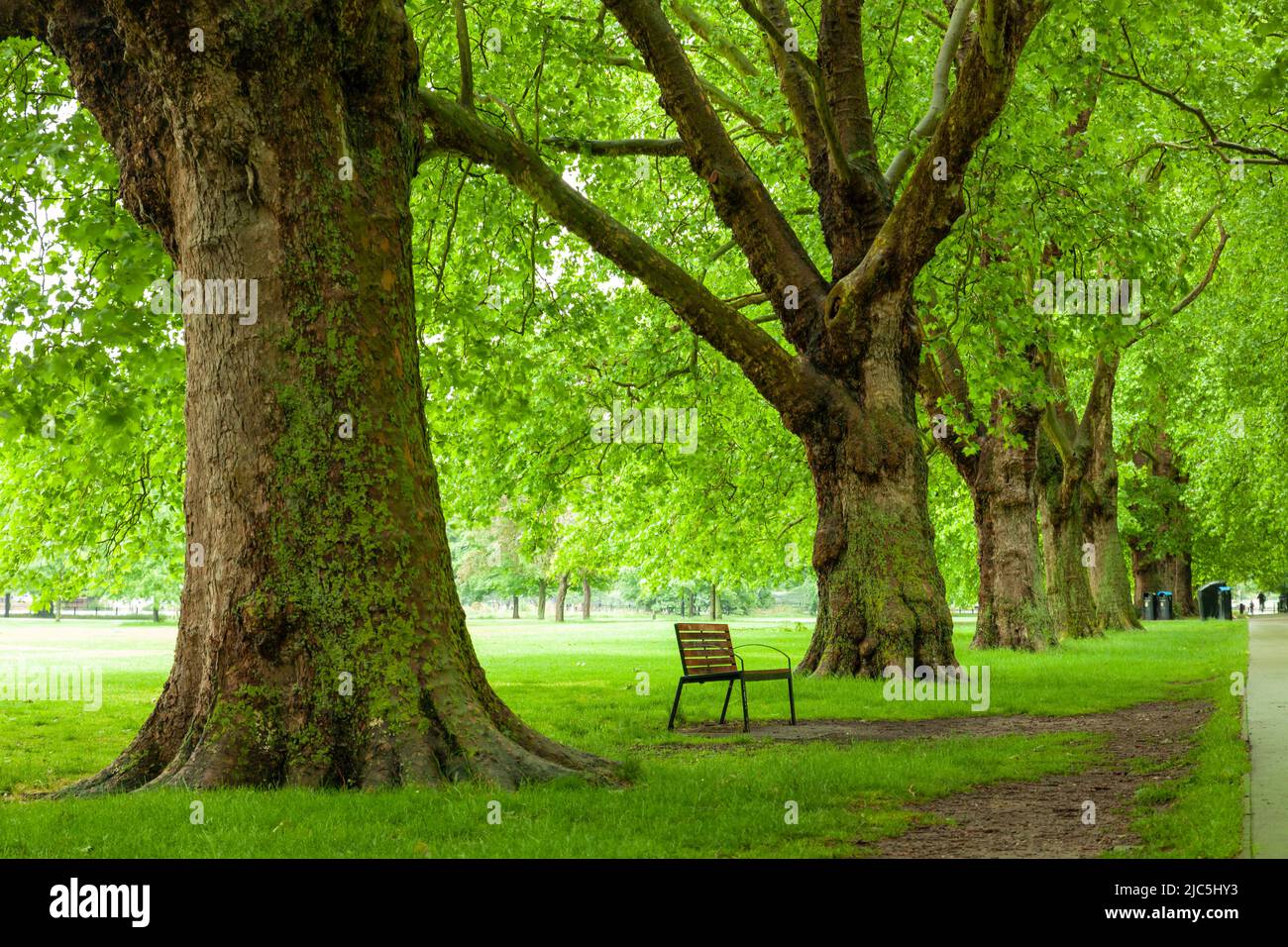 Spring morning at Jesus Green in Cambridge, England Stock Photo - Alamy