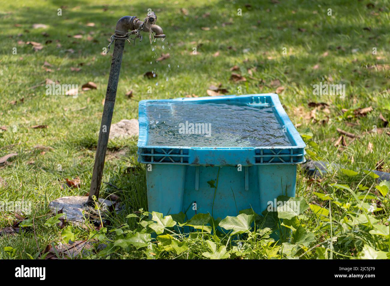 Plastic water container hi-res stock photography and images - Alamy