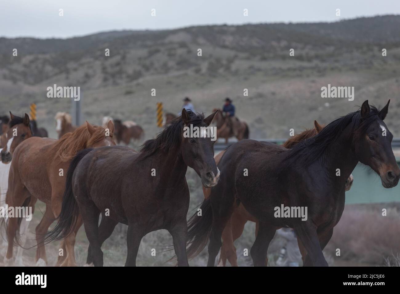 Dude ranch colorado hi-res stock photography and images - Alamy