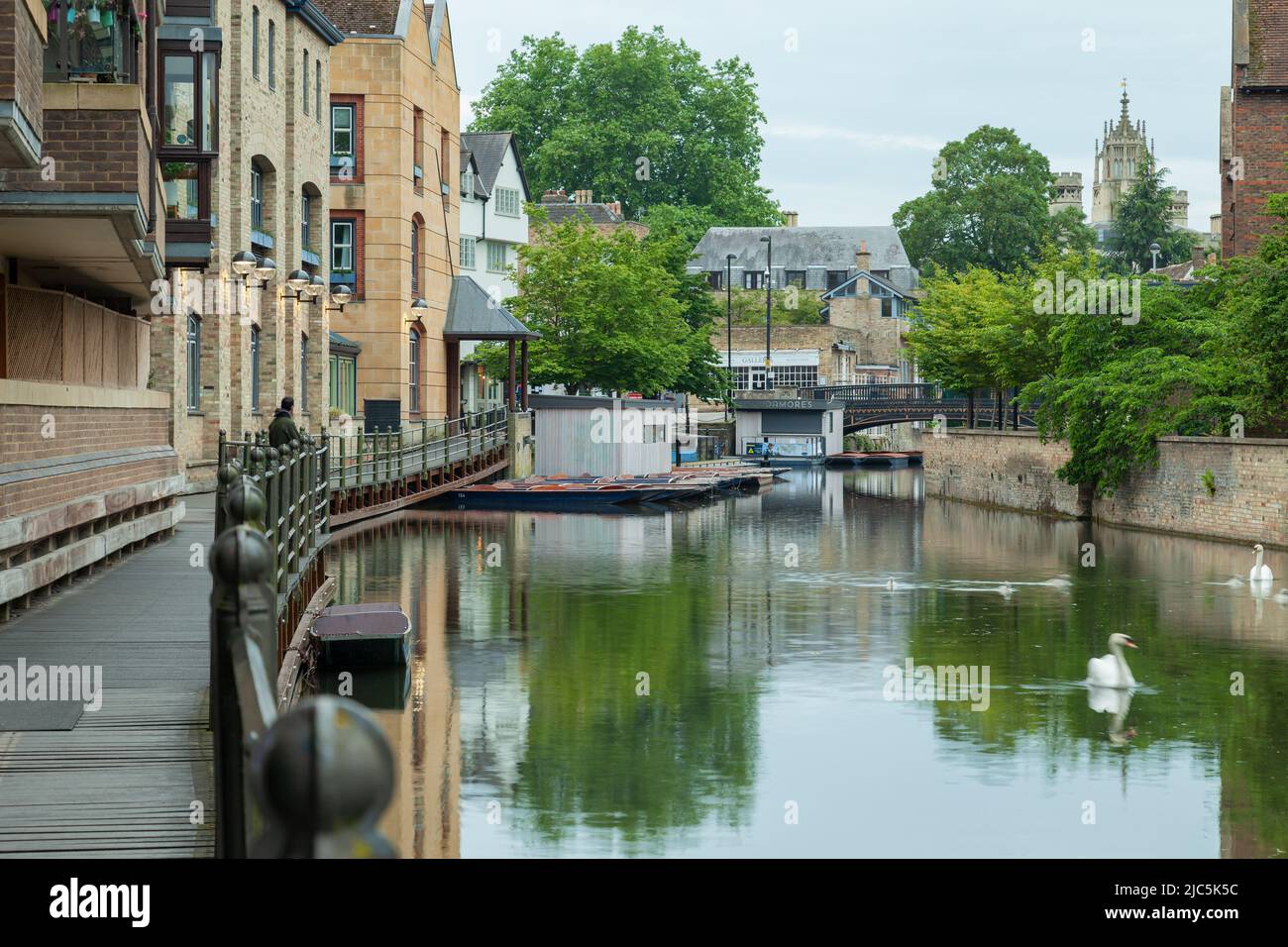Spring morning on the riverside in Cambridge, England Stock Photo - Alamy