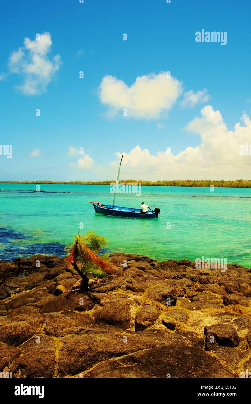 Pointe bernache hi-res stock photography and images - Alamy