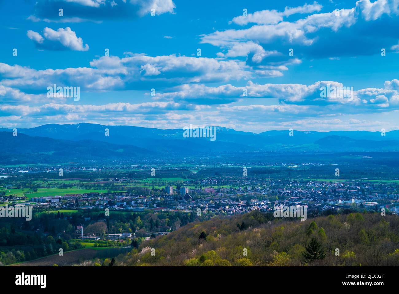 Germany, Emmendingen city houses panorama view above tree tops and city ...