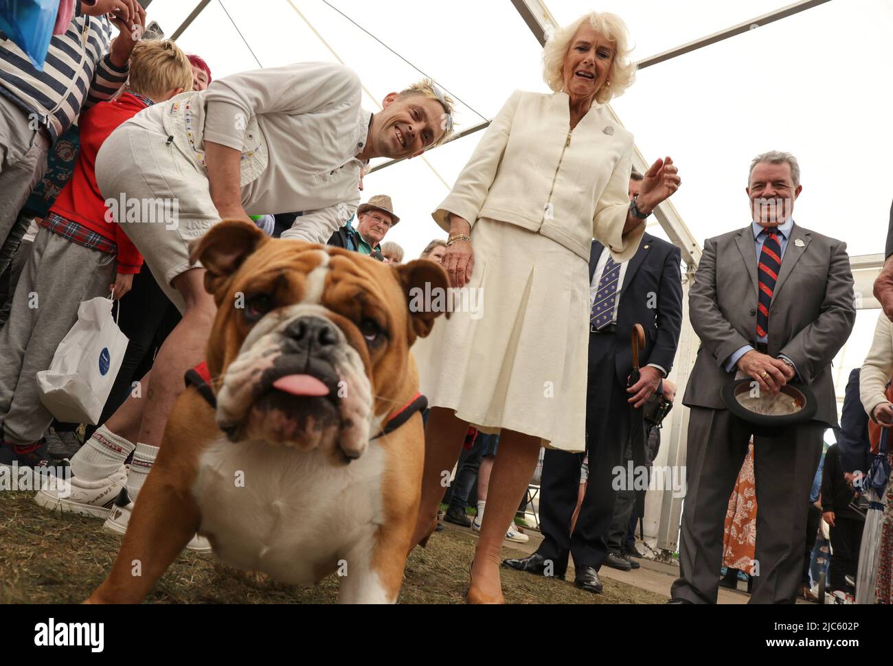 The Duchess of Cornwall meets a bulldog at The Dog Show during the ...