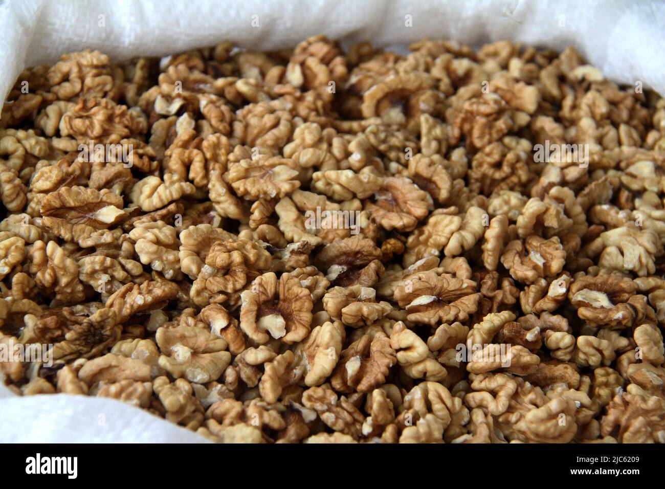 Walnut close hi-res stock photography and images - Alamy