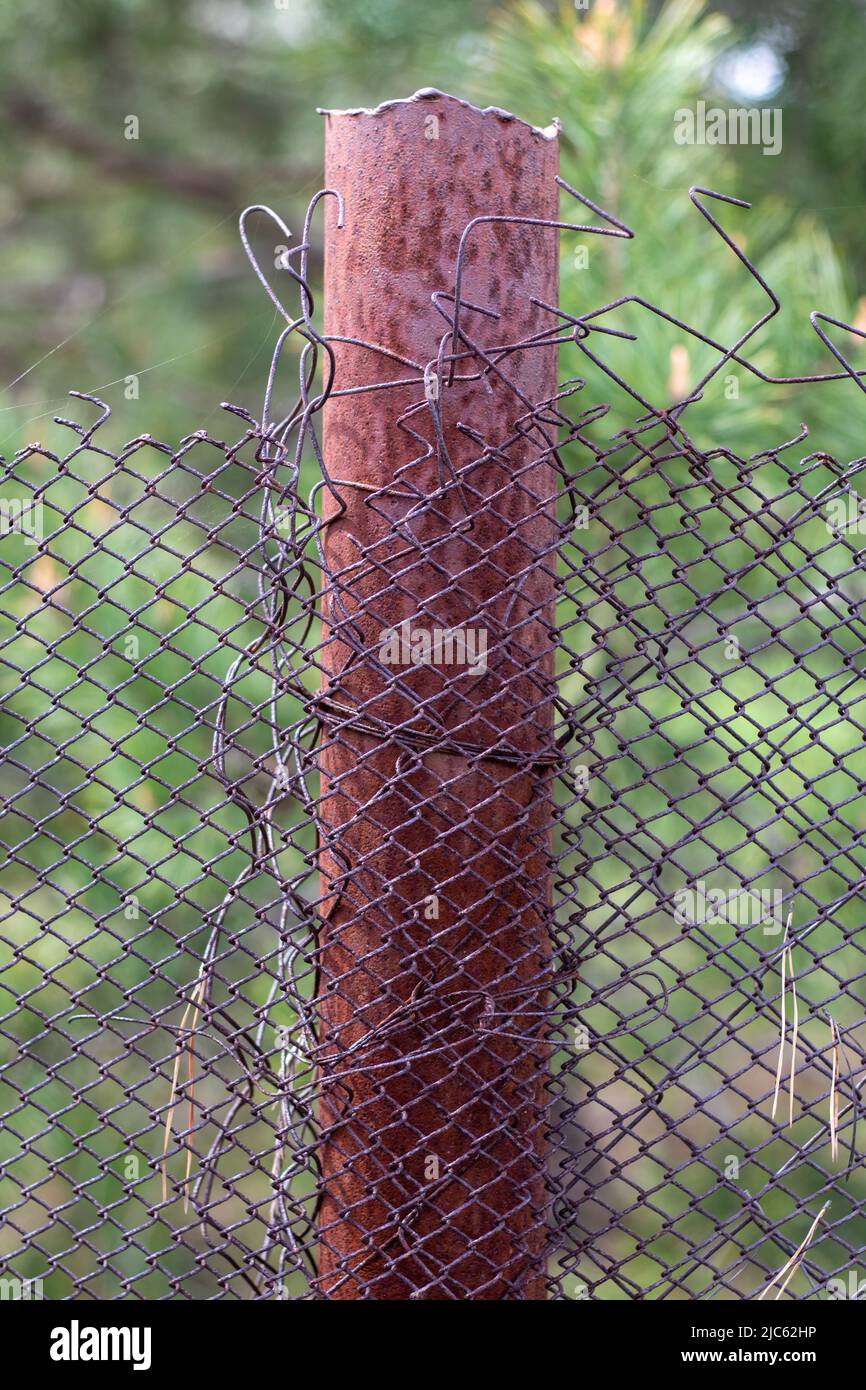Mesh old ragged cage in the garden and a rusty pole with green grass as ...