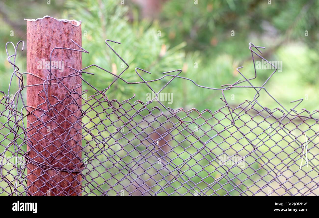 Mesh old ragged cage in the garden and a rusty pole with green grass as ...