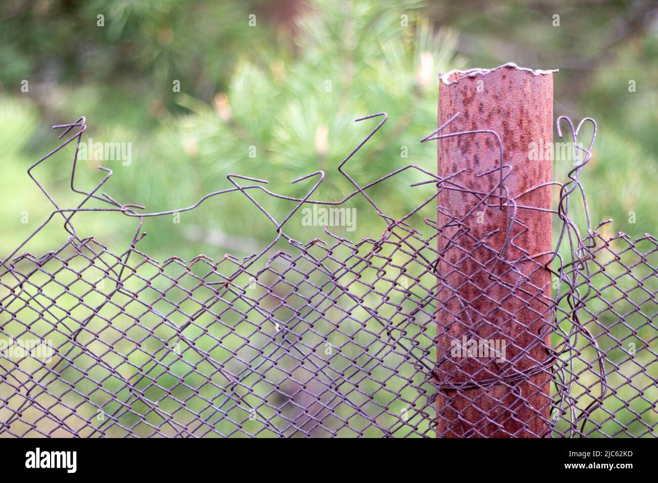 Mesh old ragged cage in the garden and a rusty pole with green grass as ...