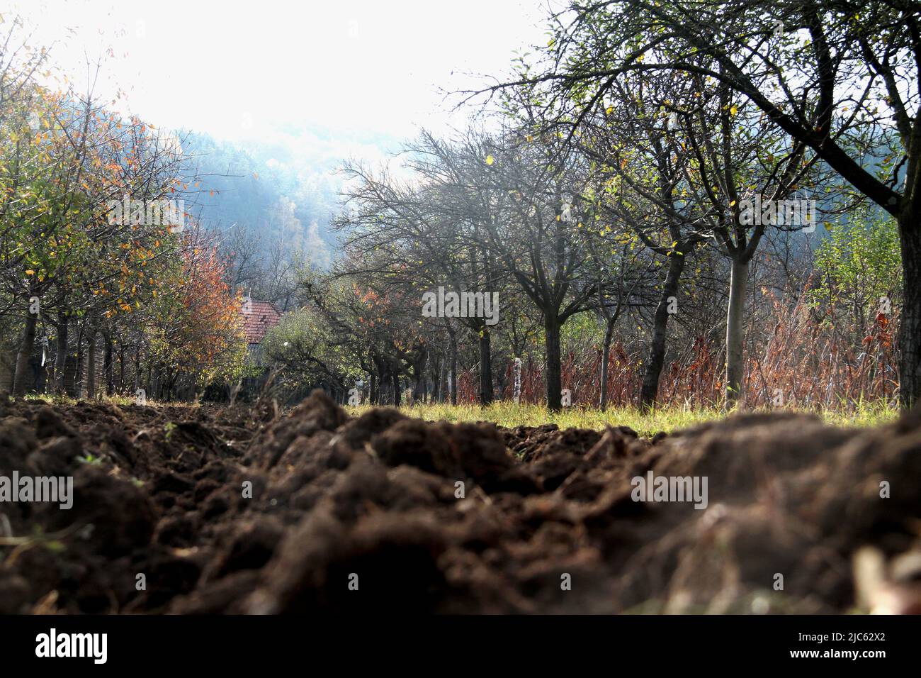 Ploughed strip of land hi-res stock photography and images - Alamy