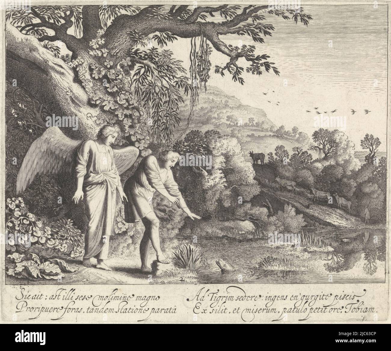 River tigris hi-res stock photography and images - Alamy