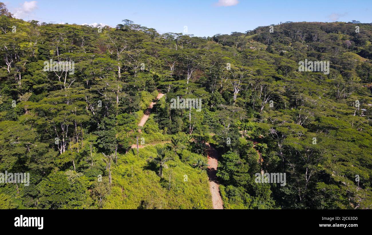 (220610) -- DILI, June 10, 2022 (Xinhua) -- Aerial photo taken on June ...