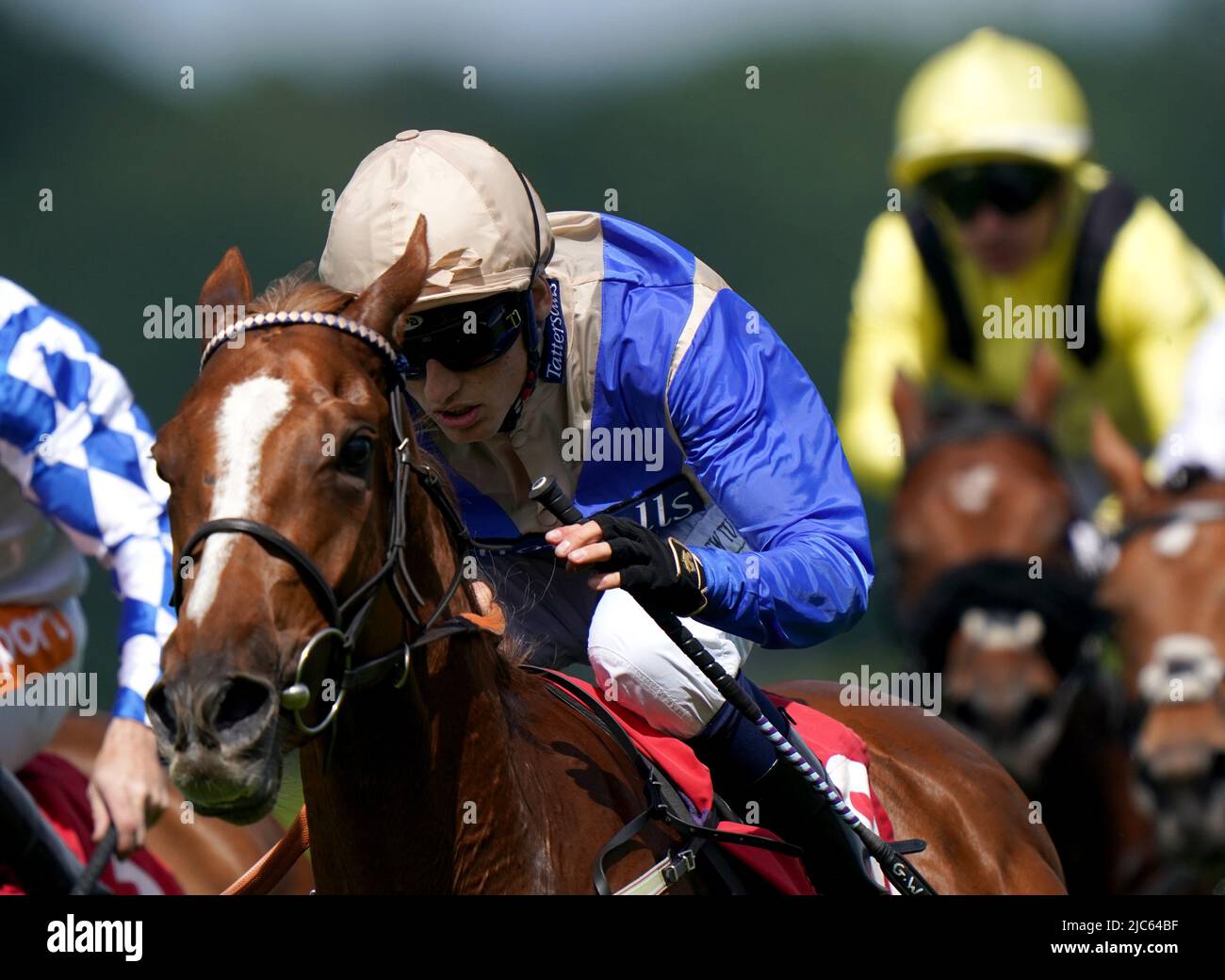 Belhaven ridden by George Wood wins The Hot To Trot Racing 10-Year ...