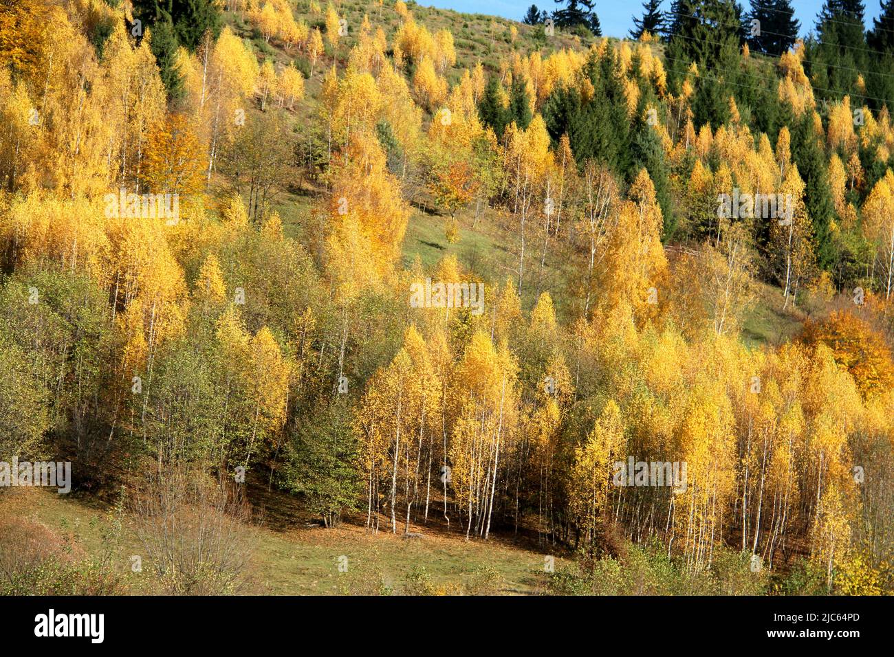 Leresti hi-res stock photography and images - Alamy