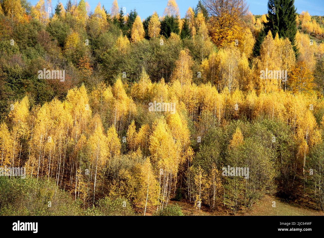 Leresti hi-res stock photography and images - Alamy