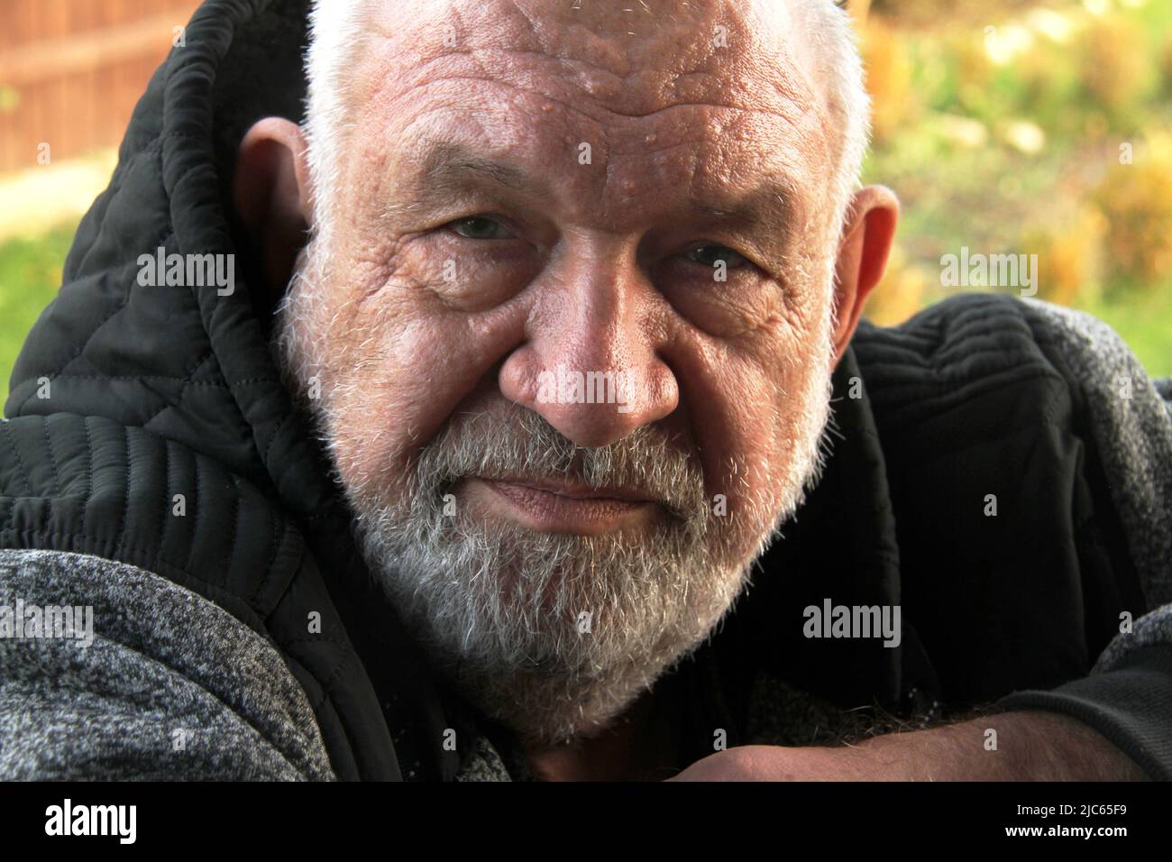 Romanian actor Valentin Teodosiu, 2019 Stock Photo - Alamy