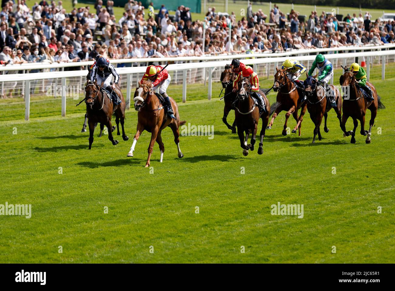 Gale force maya horse hi-res stock photography and images - Alamy