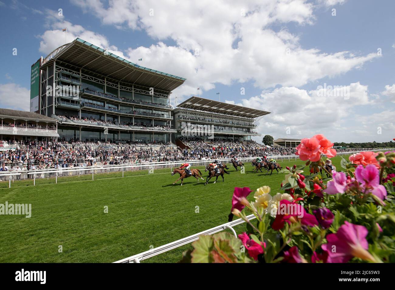 Gale force maya horse hi-res stock photography and images - Alamy