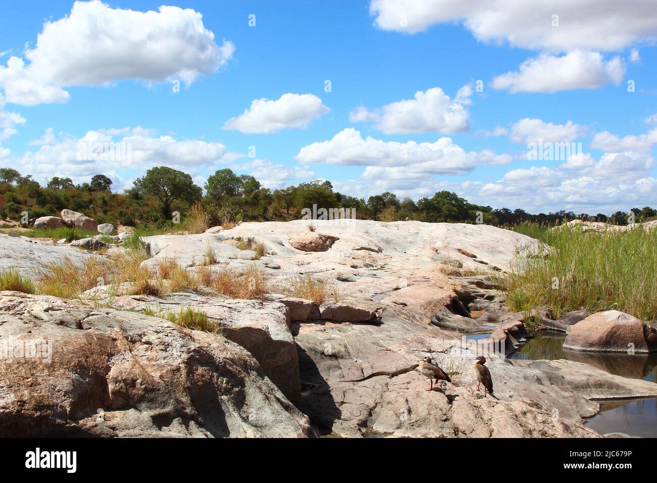 Biyamiti River / Biyamiti River Stock Photo - Alamy