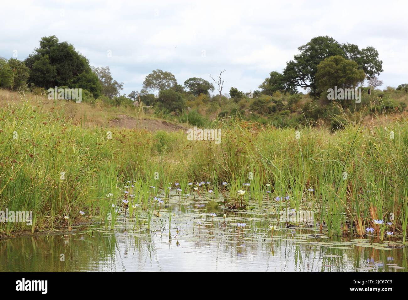 Biyamiti river hi-res stock photography and images - Alamy