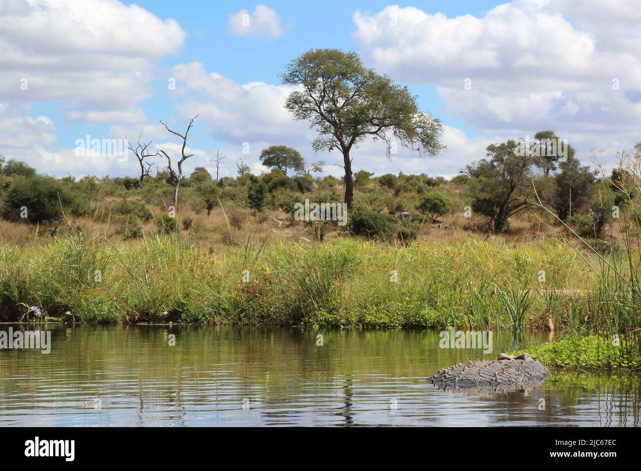 Biyamiti river hi-res stock photography and images - Alamy