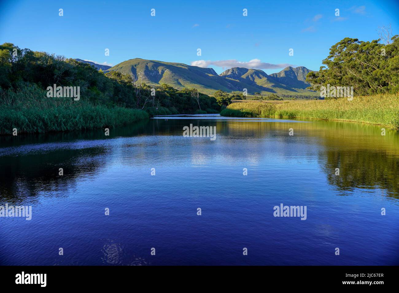 How to get the perfect picture hi-res stock photography and images - Alamy