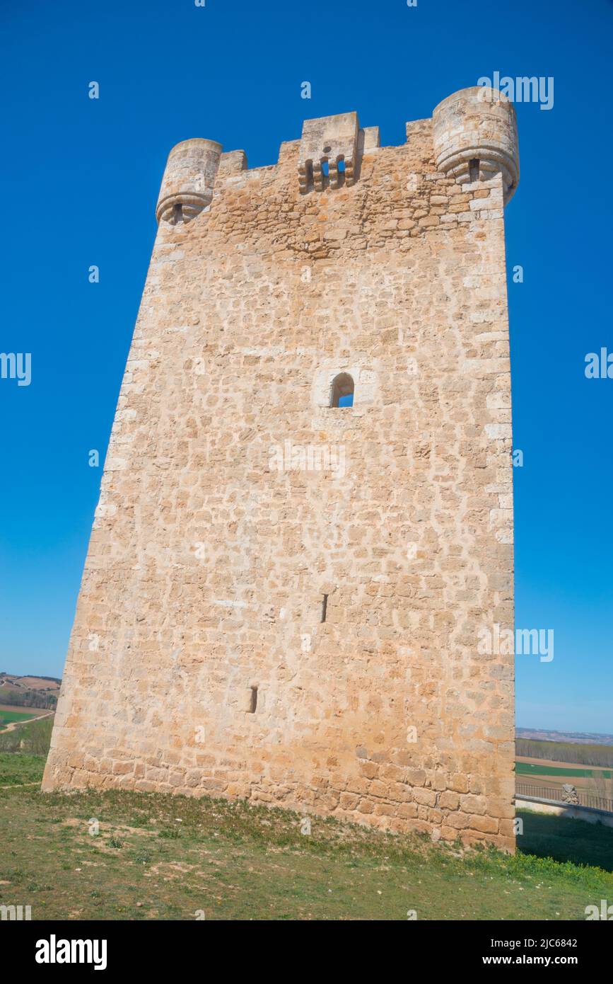 Hoyales Tower Hoyales De Roa Burgos Province Castilla Leon Spain