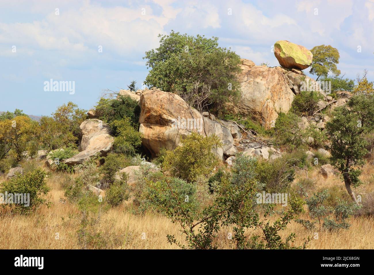 Afrikanischer Busch / African Bush Stock Photo - Alamy