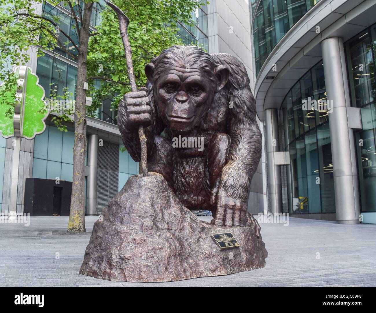 London, UK. 10th June 2022. 'Chimps Are Family' is a free public art ...