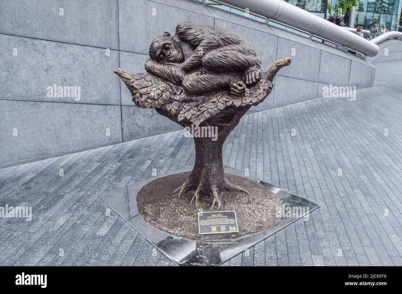 Chimpanzee sculptures hi-res stock photography and images - Alamy