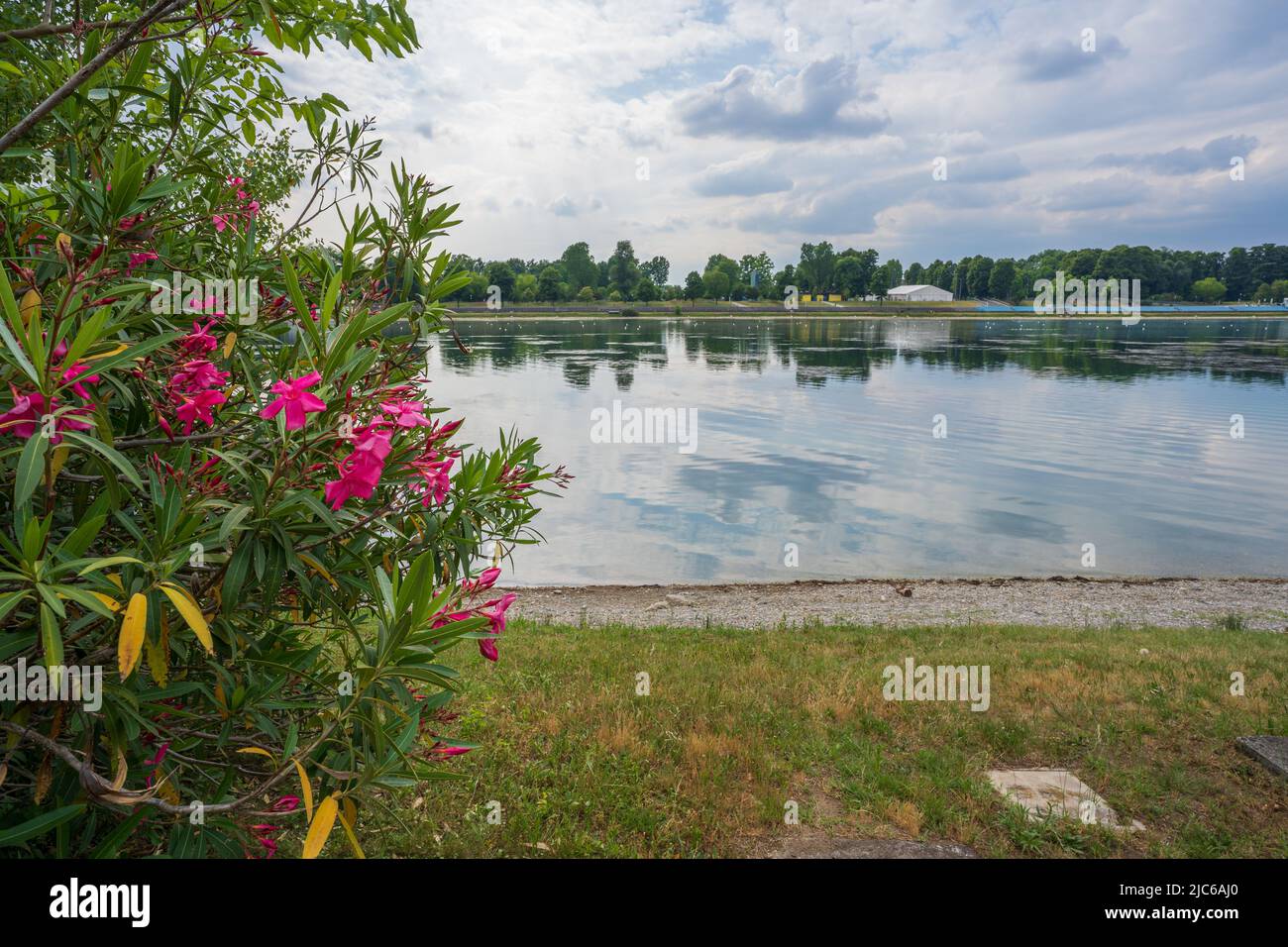 Idroscalo lake park, on the left beautiful flowers, cloudy day, Milan ...
