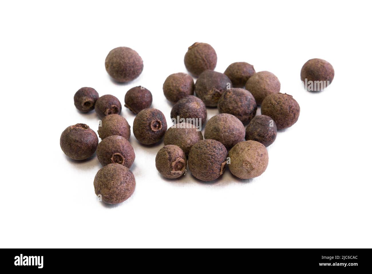 Jamaica pepper, traditional spices. allspice close-up. selective focus ...