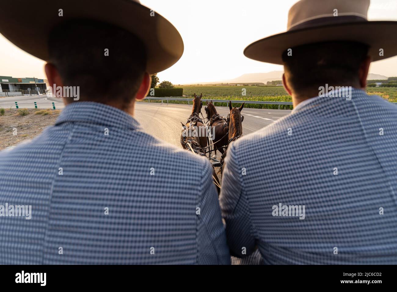 Two men driving a horse carriage on the countryside road Stock Photo ...