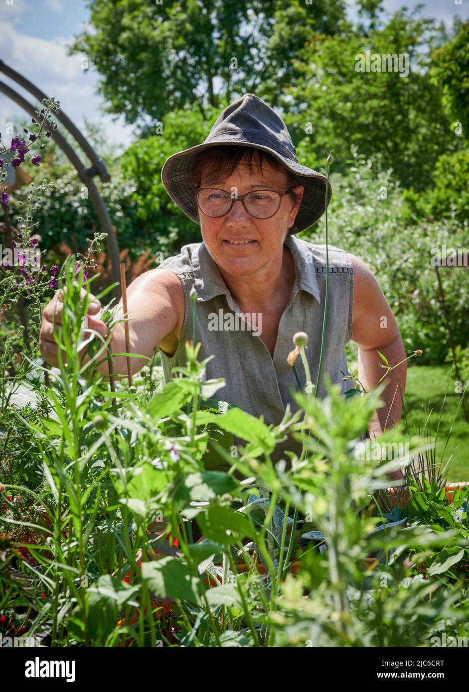 Mv gardens hi-res stock photography and images - Alamy