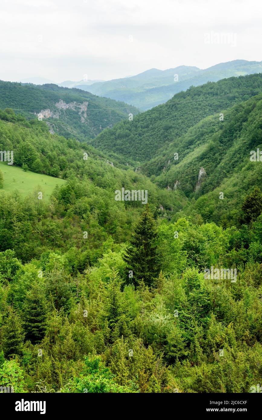 Mountain landscape view. Mountain layers landscape. Meadows and ...
