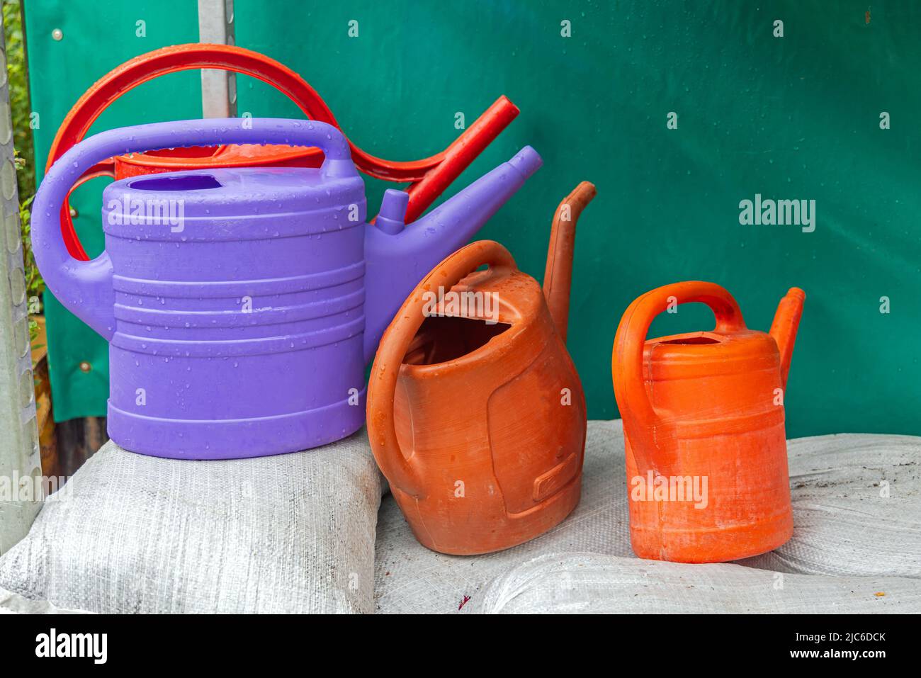 Watering Bucket Plastic Sprinkling Can for Garden Flowers Stock Photo ...