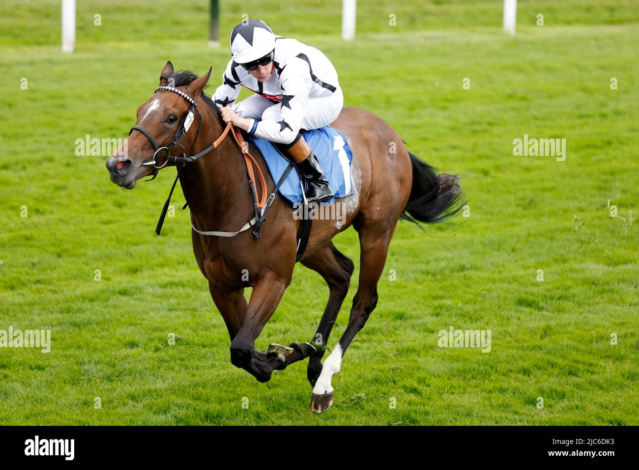 Sam james jockey jockey york hi-res stock photography and images - Alamy