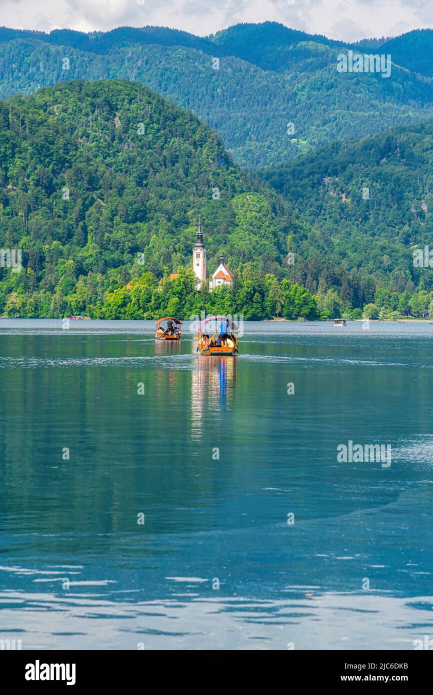 Traditional Pletna boat on the Bled lake. A boat that transports ...