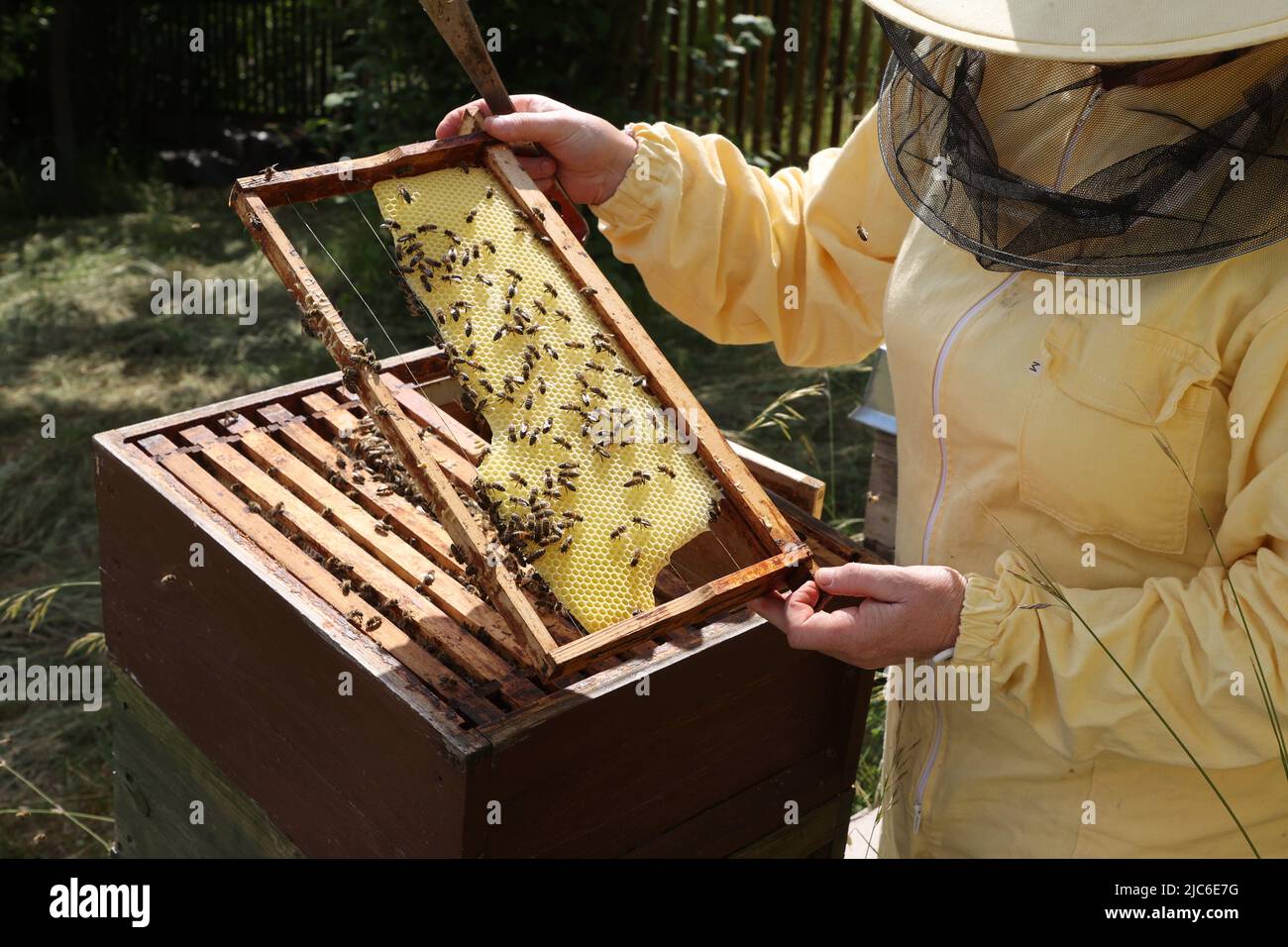 Jena, Germany. 10th June, 2022. Kerstin Schlegel, beekeeper ...