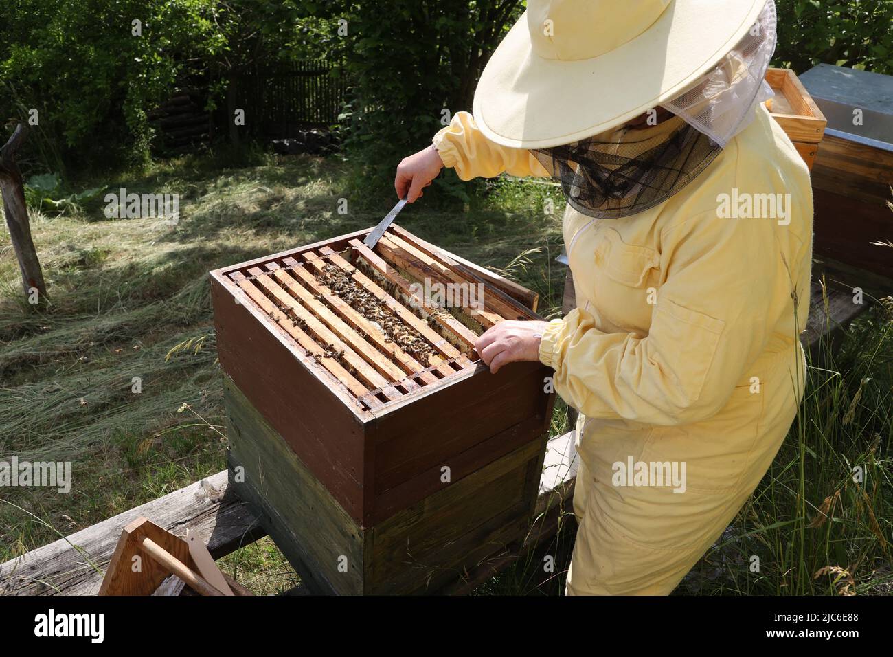 Jena, Germany. 10th June, 2022. Kerstin Schlegel, beekeeper ...