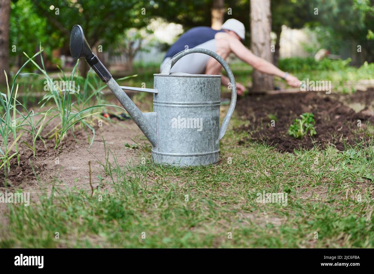 A metal watering can in an eco-farm against the background of a farmer ...