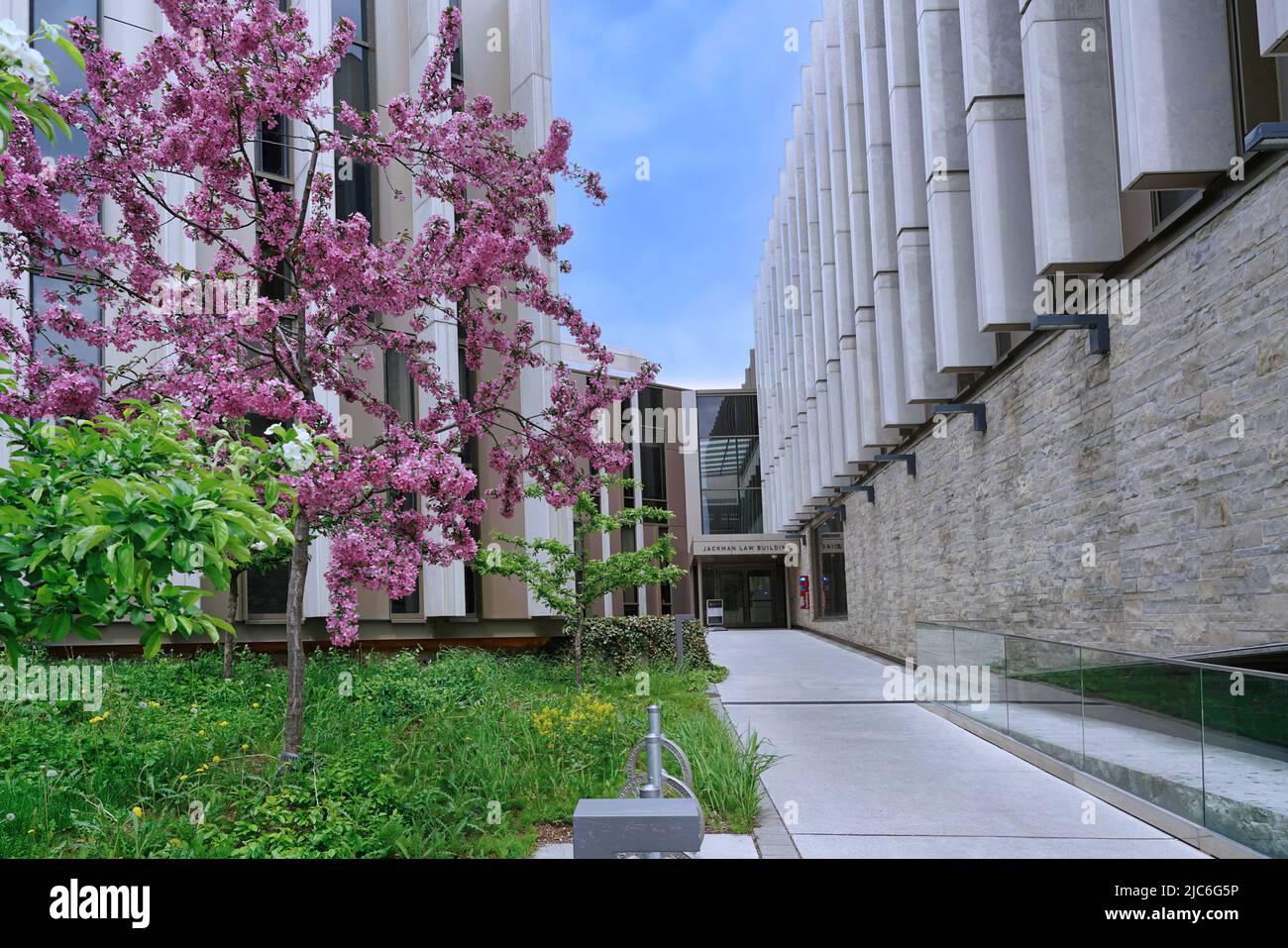 School building entrance hi-res stock photography and images - Alamy