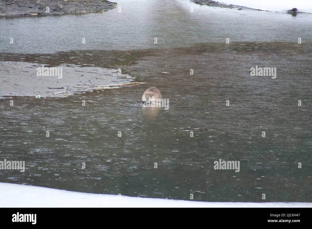 Usa west yellowstone winter montana hi-res stock photography and images ...