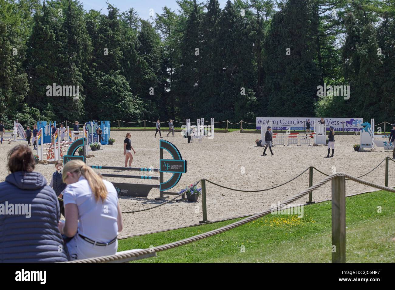 Bicton horse hi-res stock photography and images - Alamy