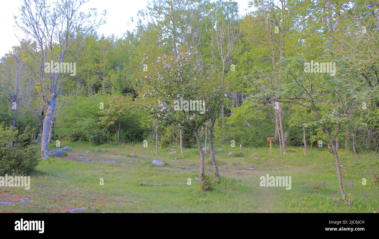 Nåtö, Lemland, Åland Stock Photo - Alamy