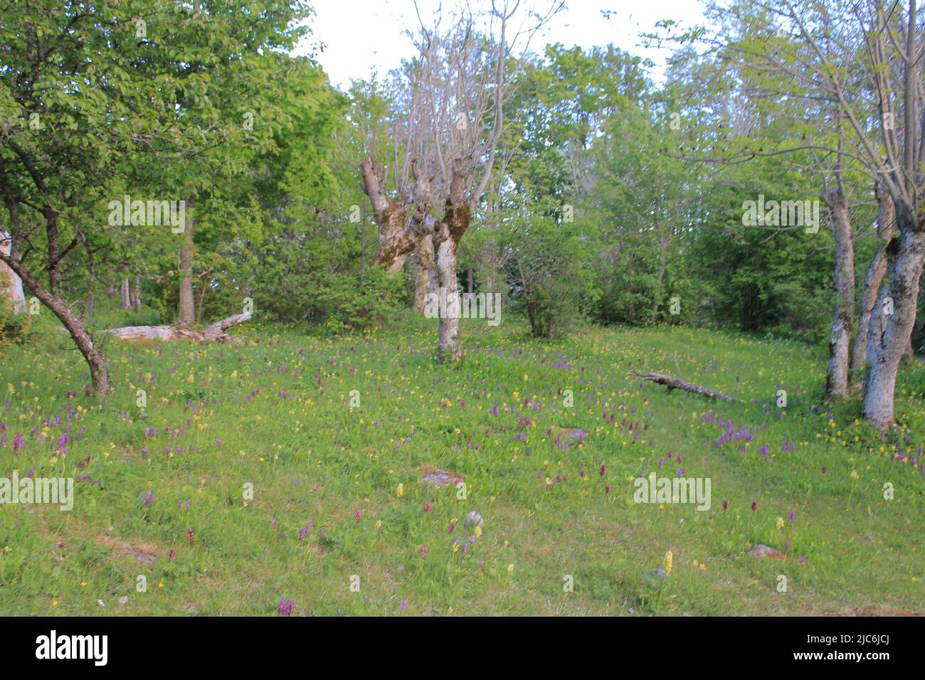 Nåtö, Lemland, Åland Stock Photo - Alamy
